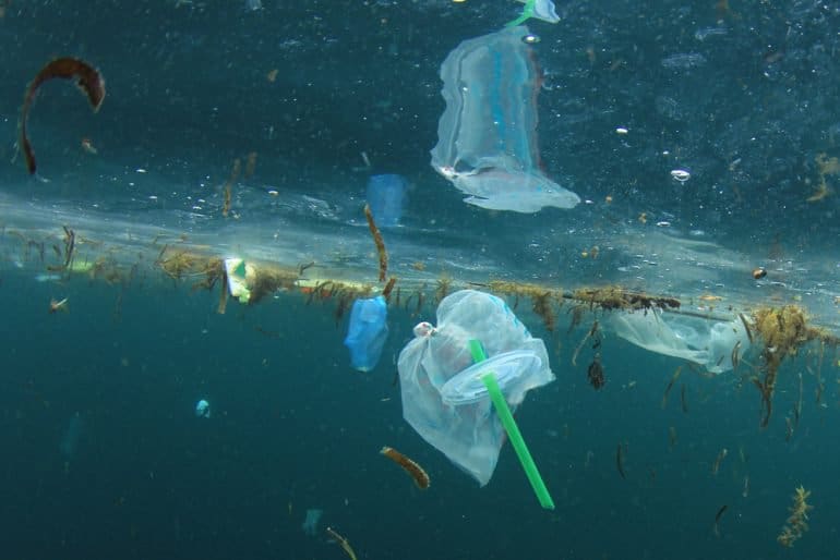 Plastic Oceans - A Dangerous Trend for Shipping & the World - More Than ...